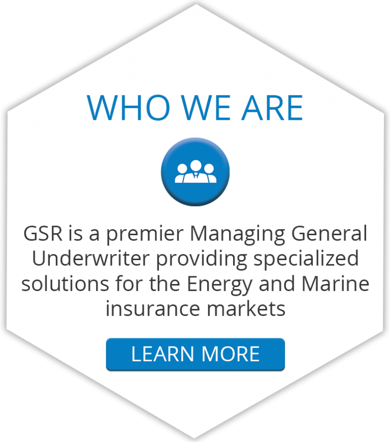 Homepage - Global Special Risks